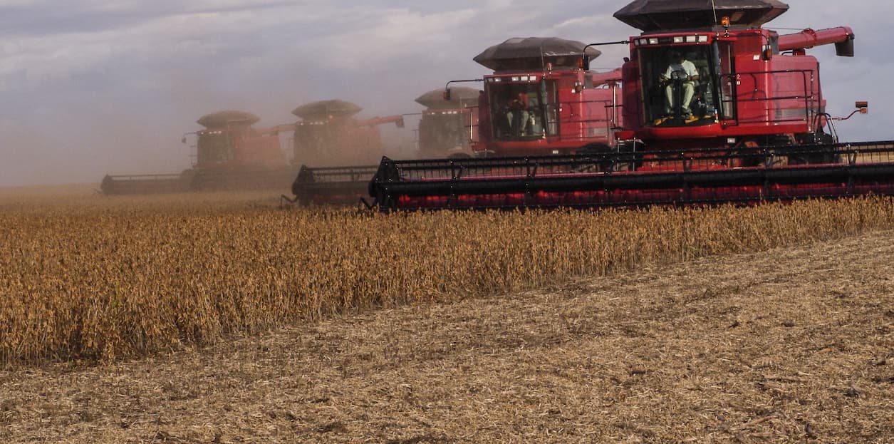 Maturação da Soja: Quais os Grupos, Ciclos e Como Calcular